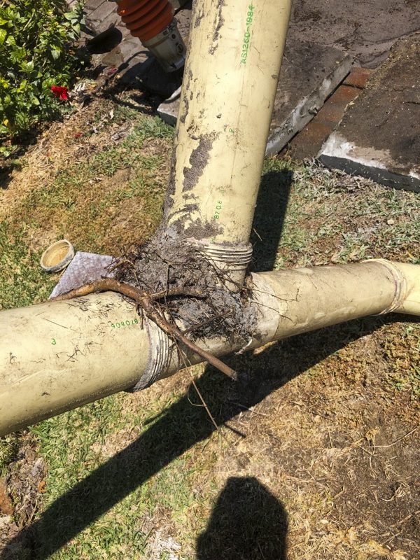 Parkwood - Blocked Drain / CCTV Drain Inspection | Superior Plumbing Parkwood - Blocked Drain / CCTV Drain Inspection | Superior Plumbing